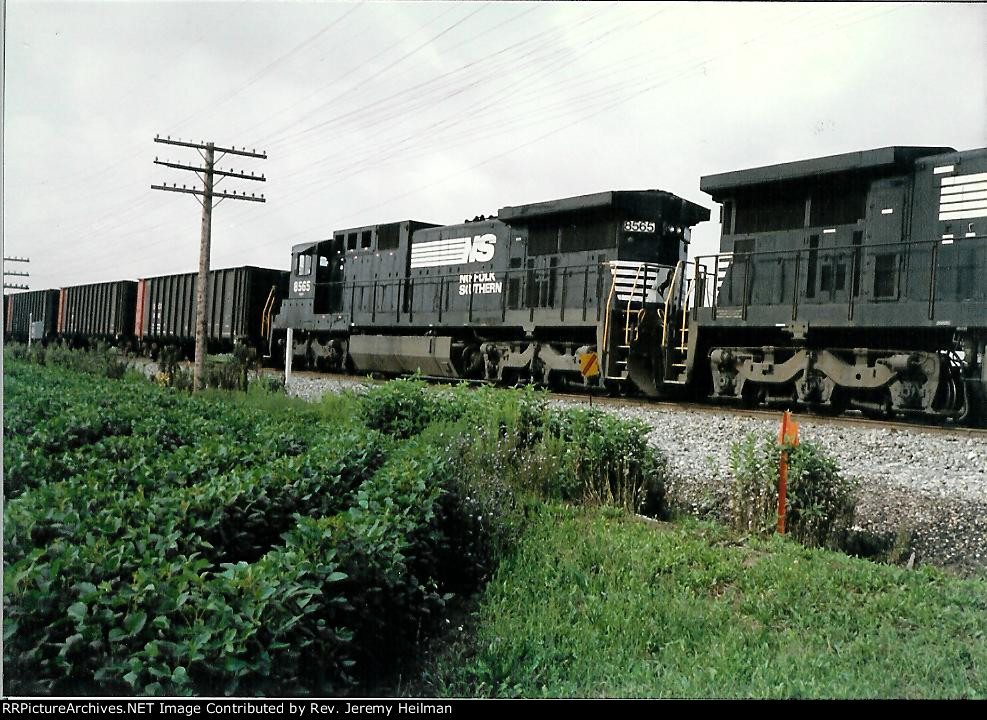 NS 8649 & 8565 (1)